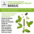 Coffret 3 crayons d'assaisonnement : Basilic, Truffe noire & Cèpe