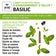 Crayon d'assaisonnement au Basilic bio | OCNI